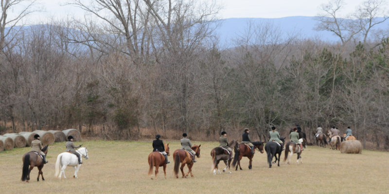 Foxhunting Preservation - Wine and Country Life