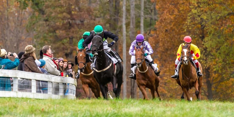 The Montpelier Hunt Races - Wine and Country Life