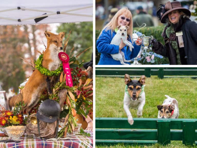 The Montpelier Hunt Races - Wine and Country Life