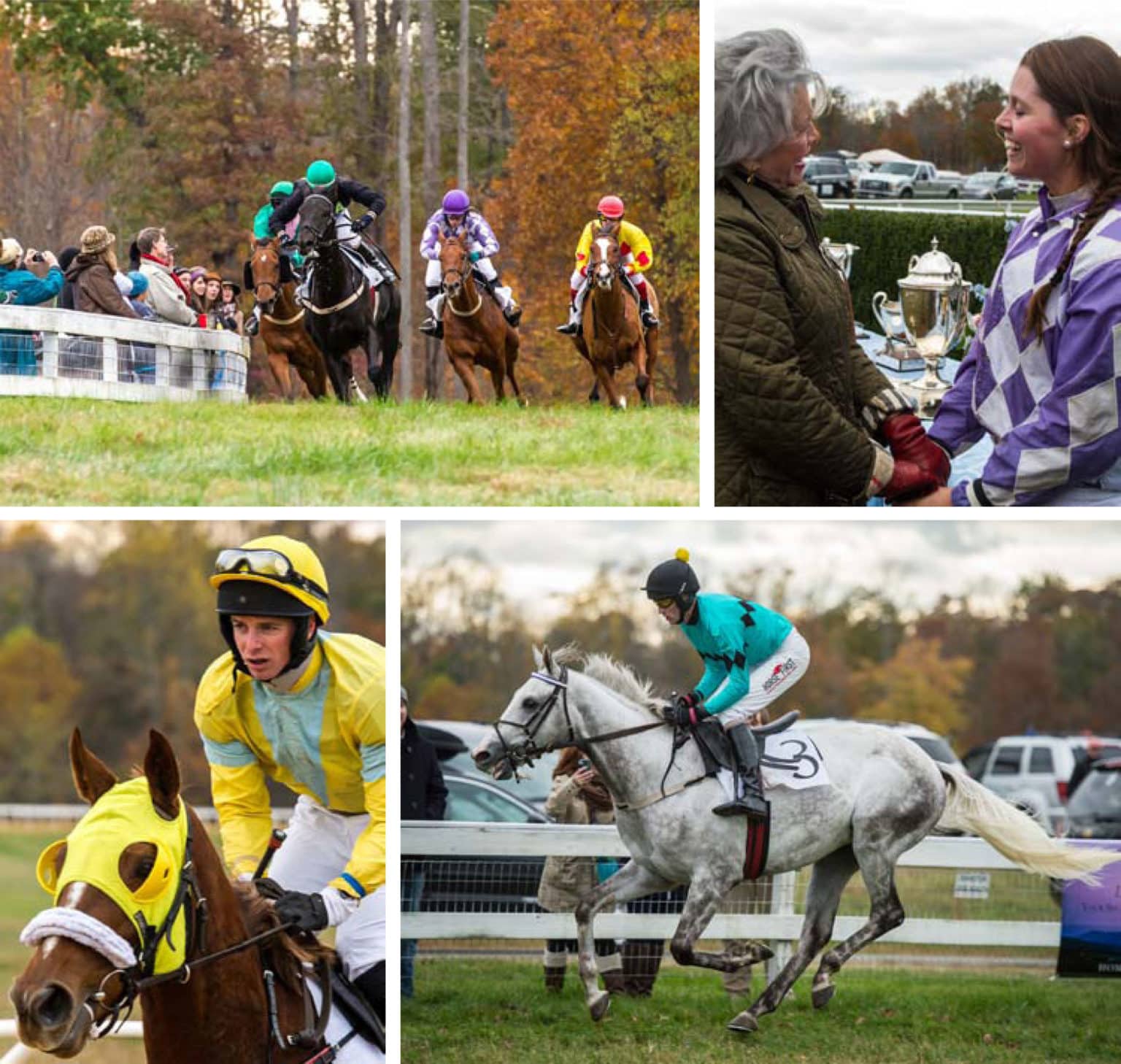 The Montpelier Hunt Races - Wine and Country Life