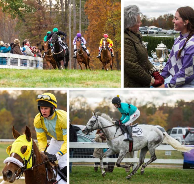 The Montpelier Hunt Races - Wine and Country Life