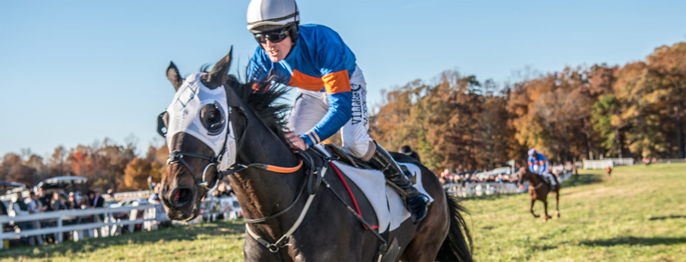 Equestrian - Wine and Country Life