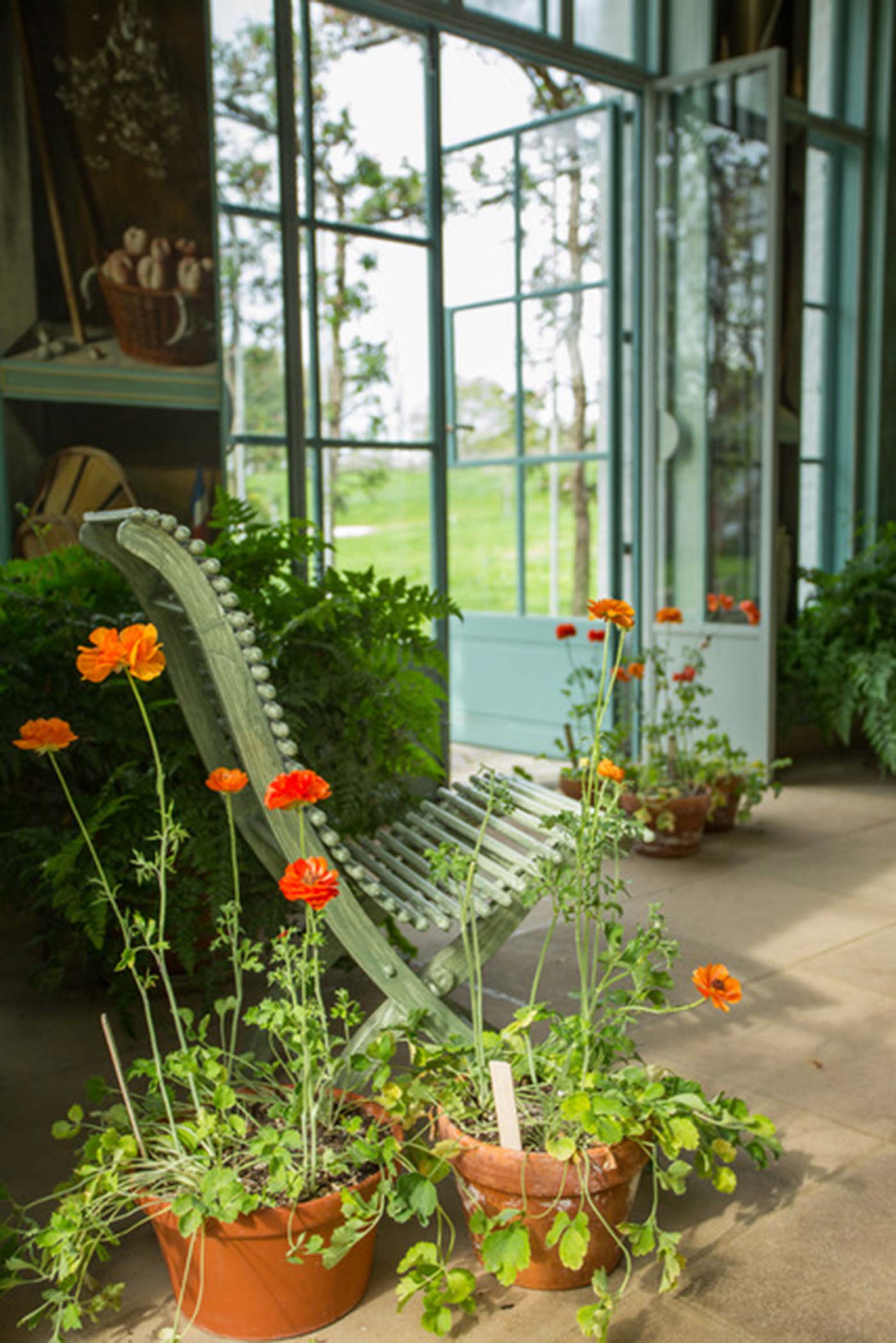 100 Years of Virginia Gardens - Wine and Country Life