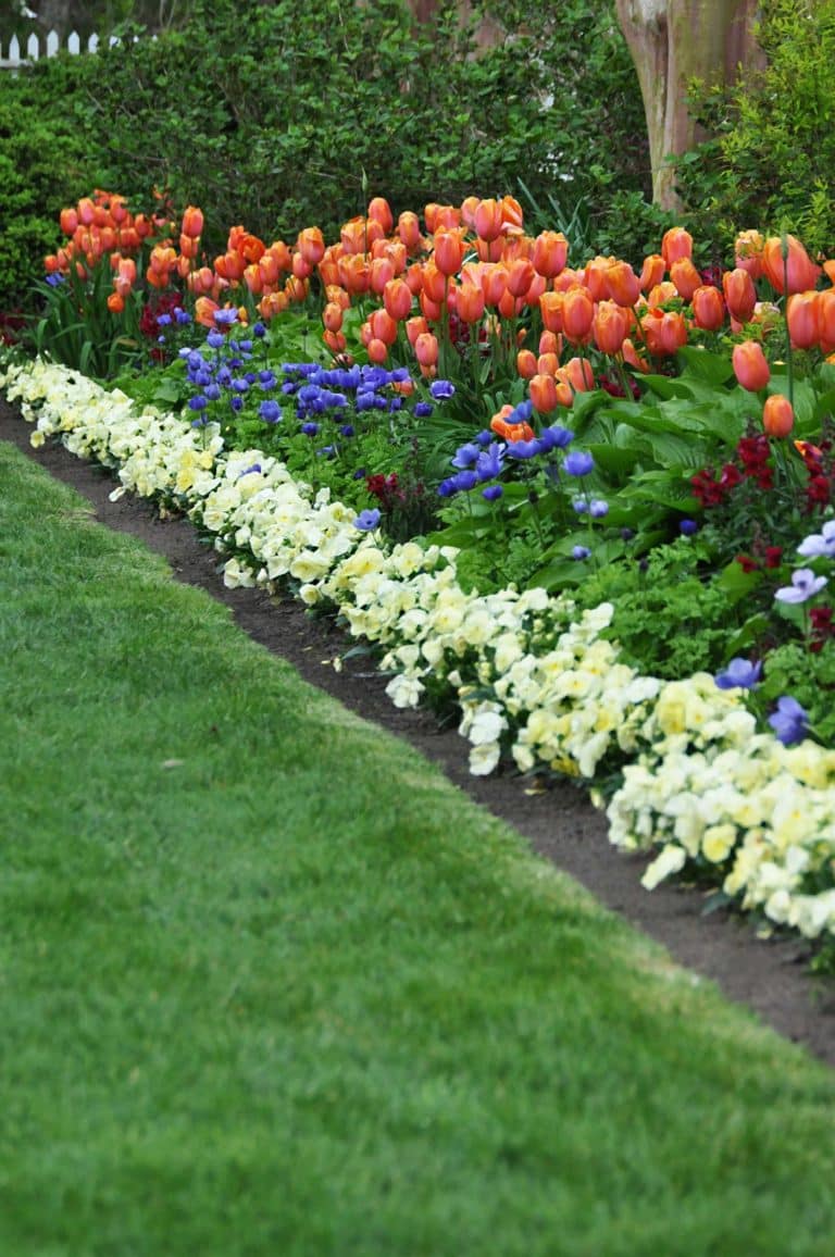 100 Years of Virginia Gardens - Wine and Country Life