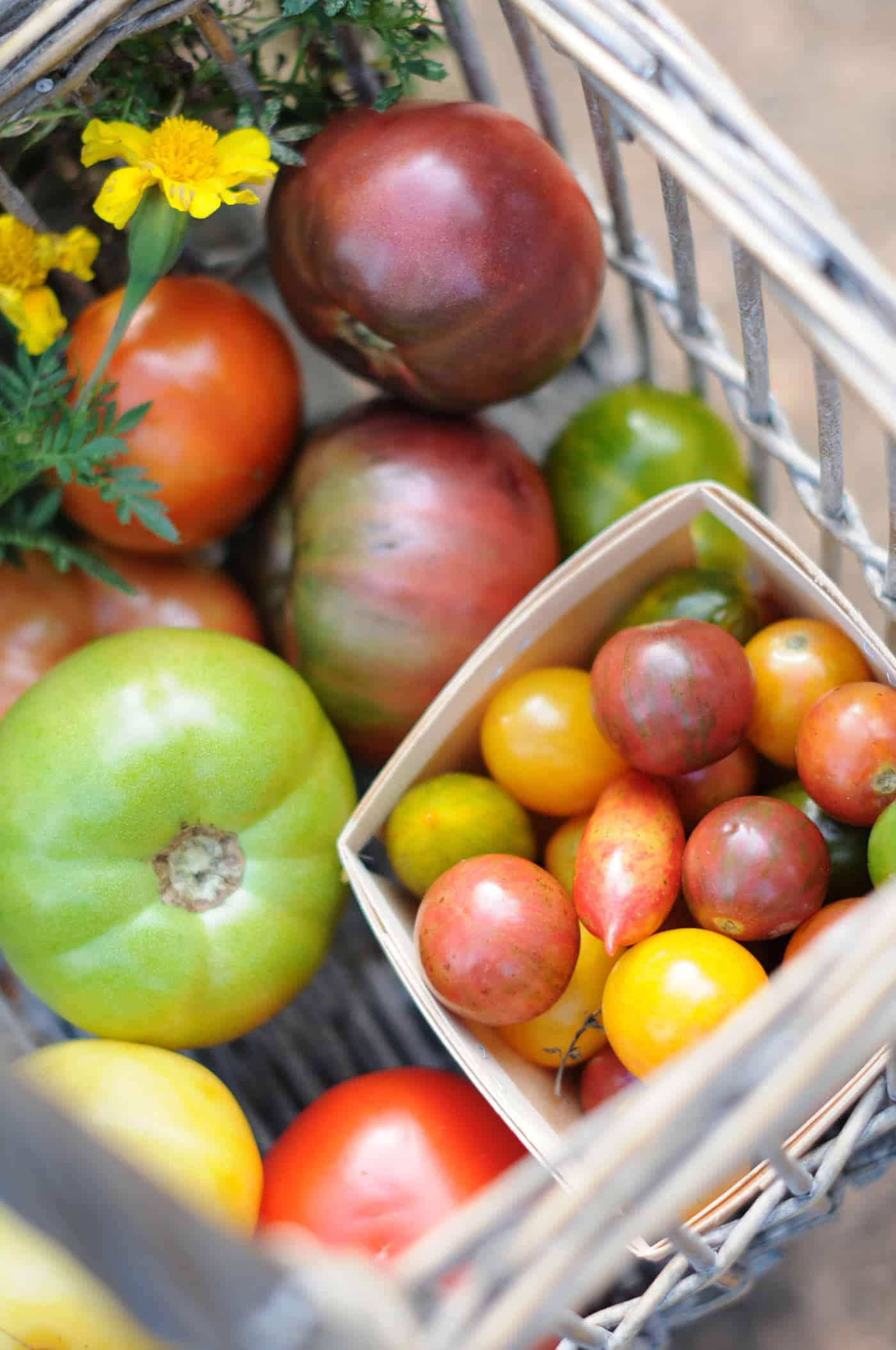 Italian Caprese Salad Recipe - Wine and Country Life