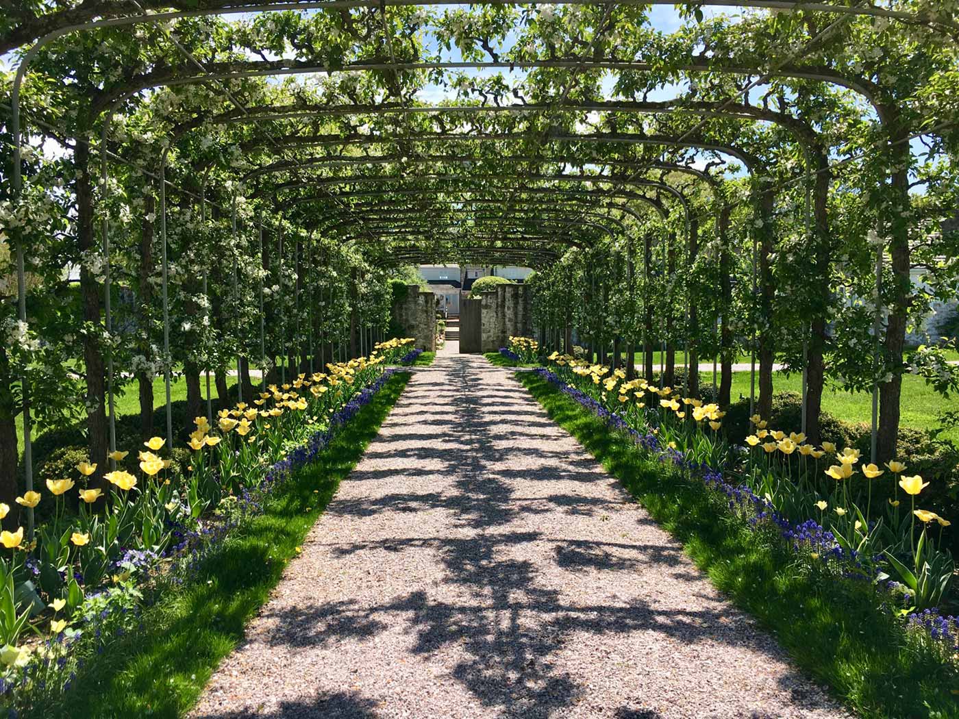 100 Years of Virginia Gardens - Wine and Country Life