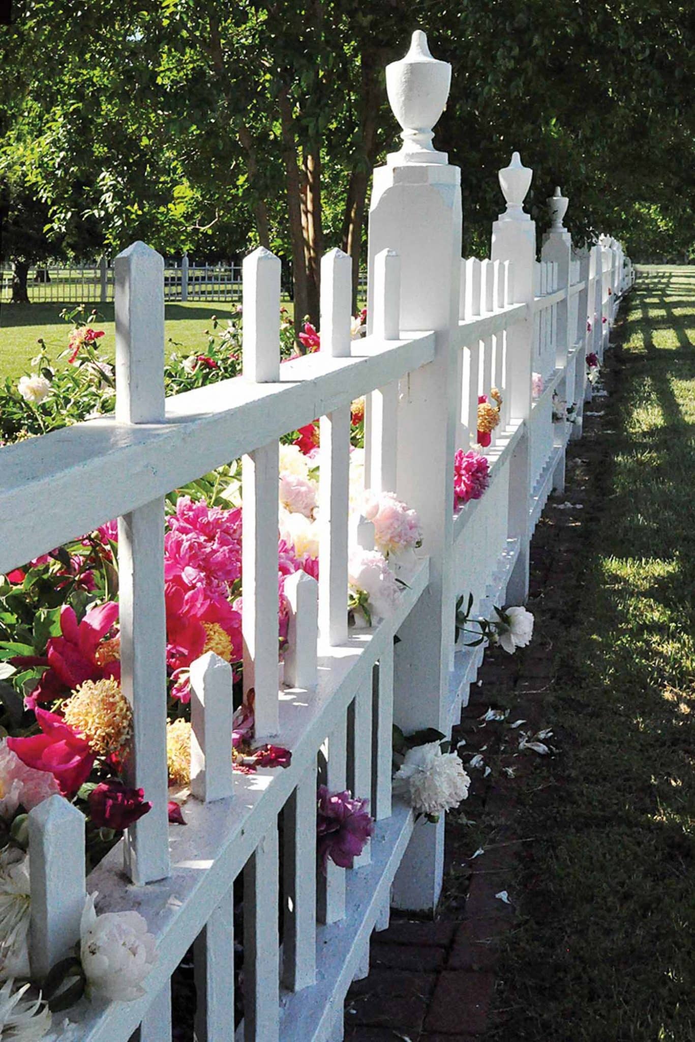 100 Years of Virginia Gardens - Wine and Country Life