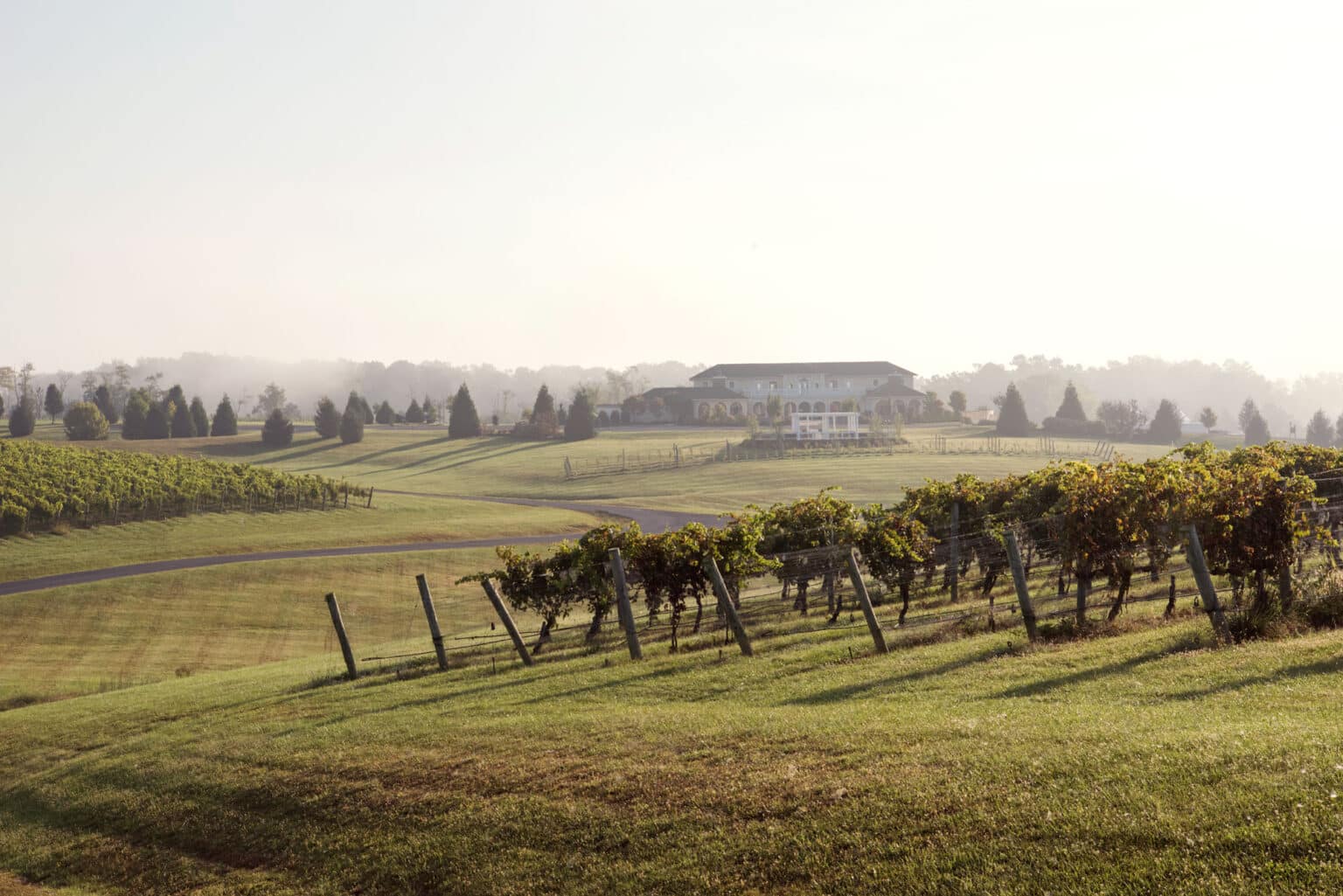 Virginia Wineries to Visit This Fall - Wine and Country Life