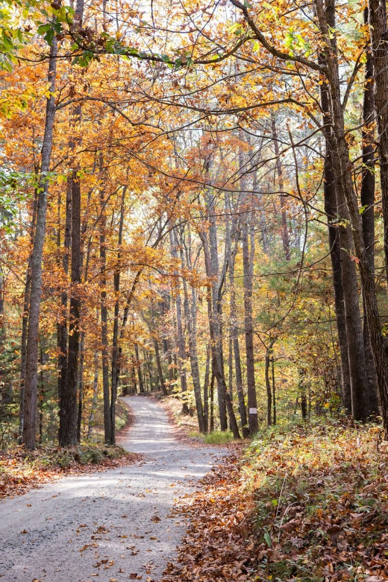 6 Fall Outing Ideas in Virginia - Wine and Country Life