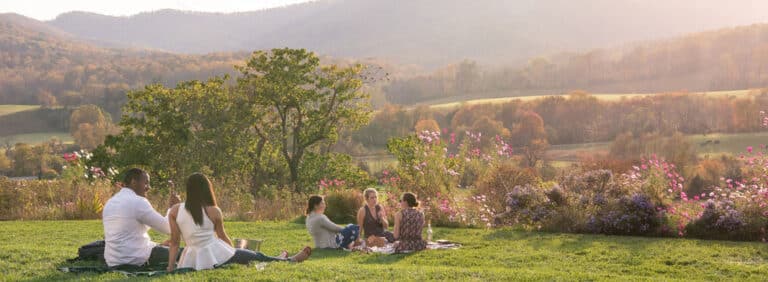 6 Fall Outing Ideas in Virginia - Wine and Country Life