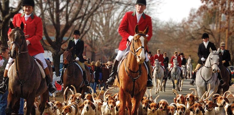 Middleburg for the Holidays - Wine and Country Life