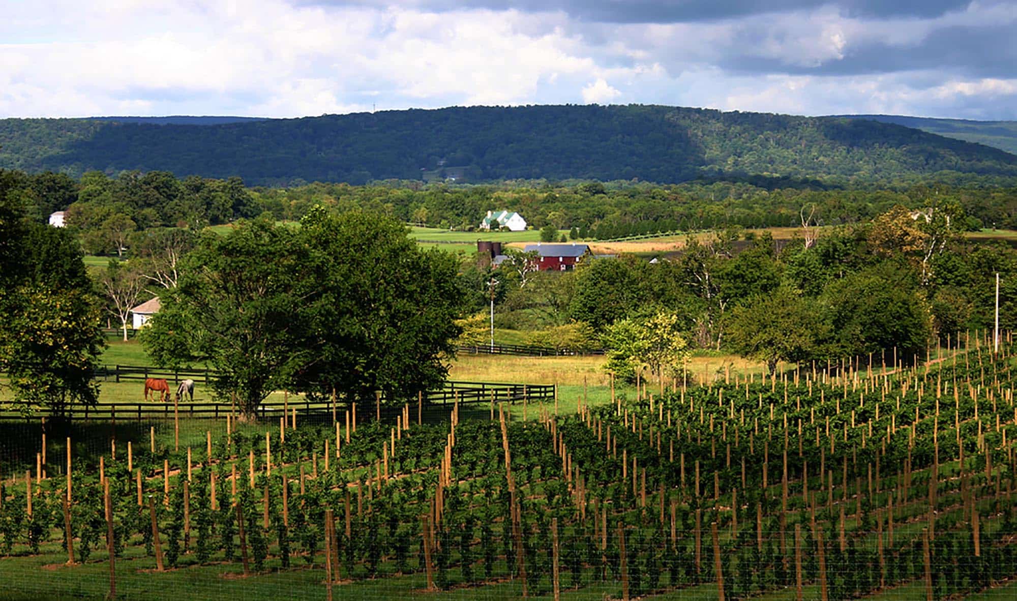 Five Charming Places to Visit in Loudoun - Wine and Country Life