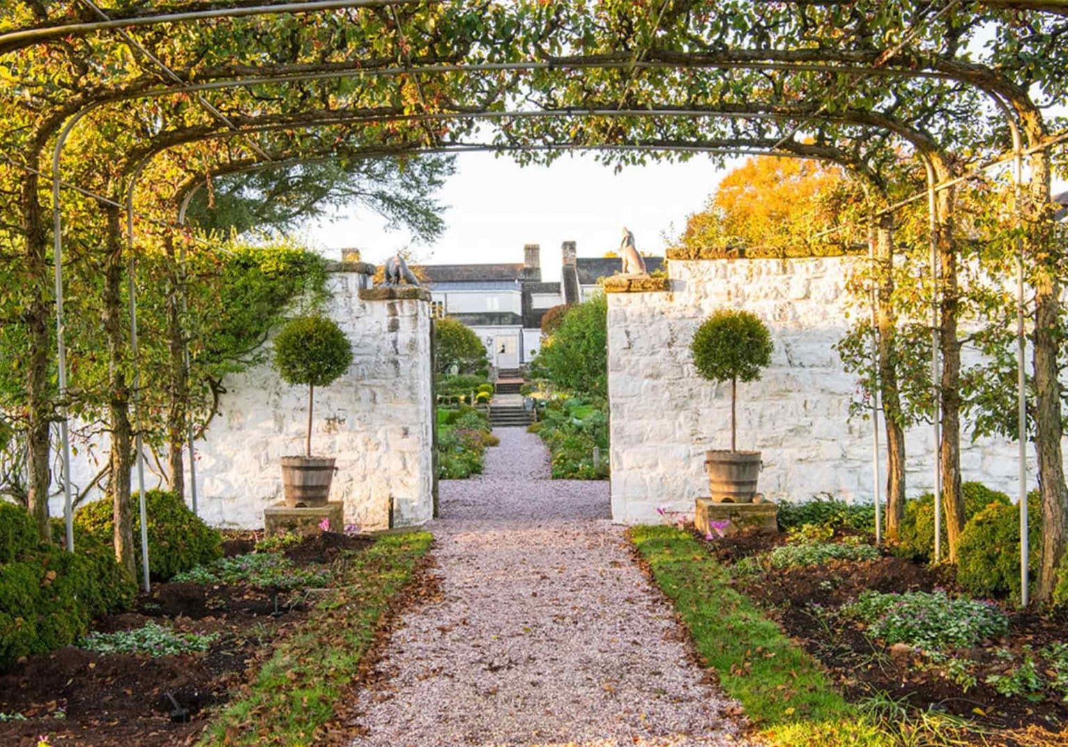 The Allée, Greenhouse & Topiaries at Oak Spring Farm - Wine and Country ...