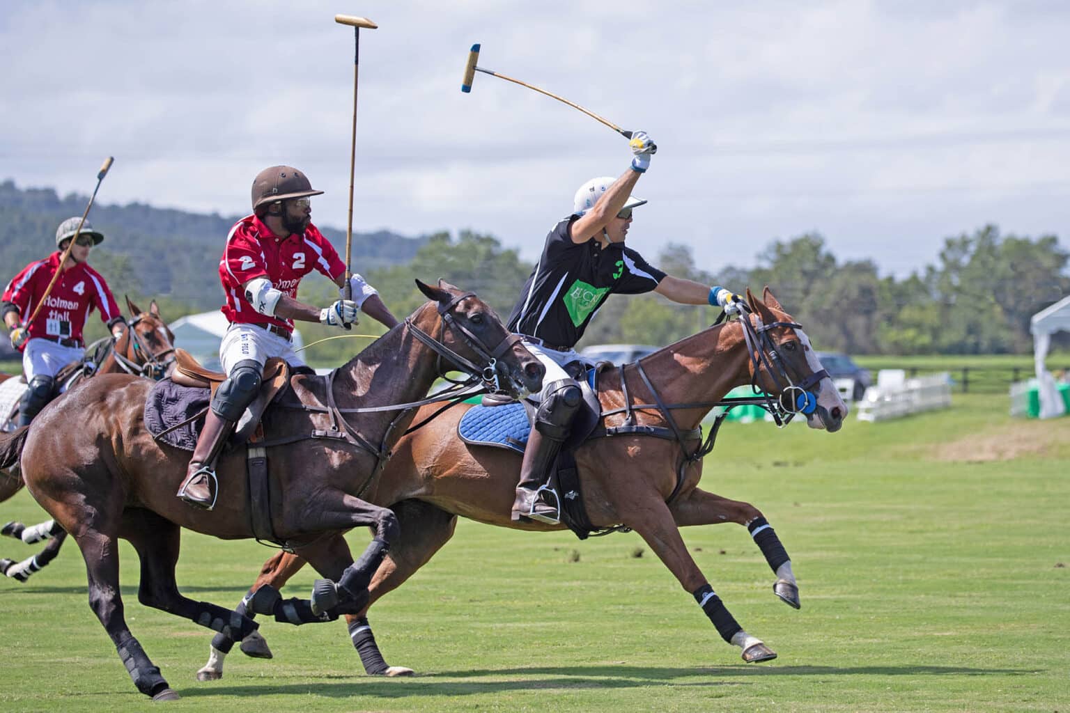 Northern Virginia Polo - Wine and Country Life
