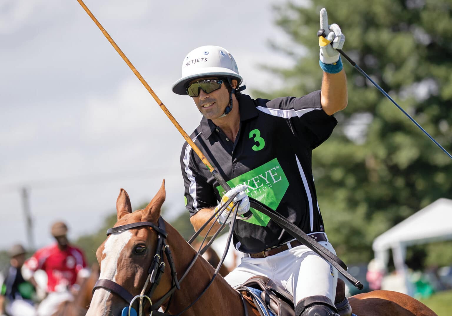 Northern Virginia Polo - Wine and Country Life