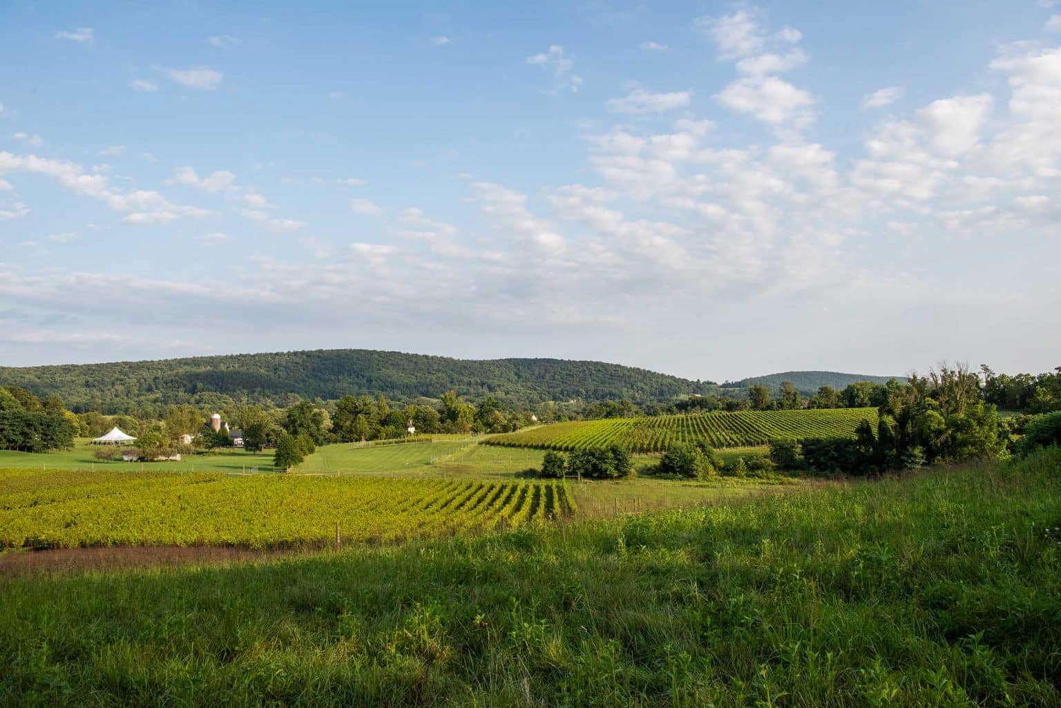 A Weekend Guide to Visiting Middleburg, VA - Wine and Country Life