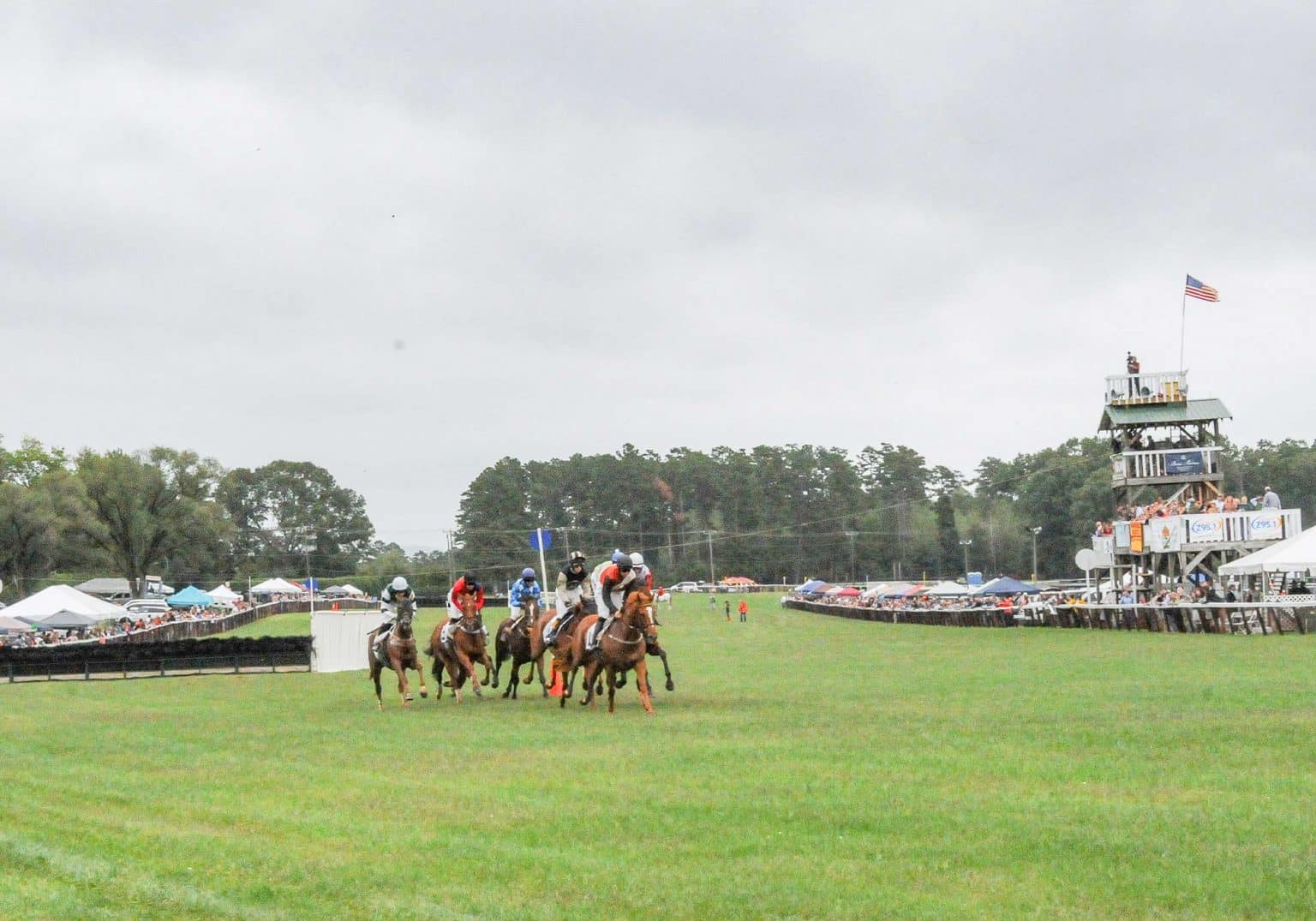 A Guide to the Foxfield Races in Charlottesville - Wine and Country Life