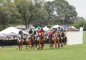 A Guide to the Foxfield Races in Charlottesville - Wine and Country Life