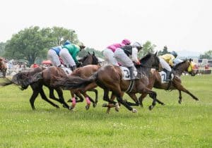 A Guide to the Foxfield Races in Charlottesville - Wine and Country Life