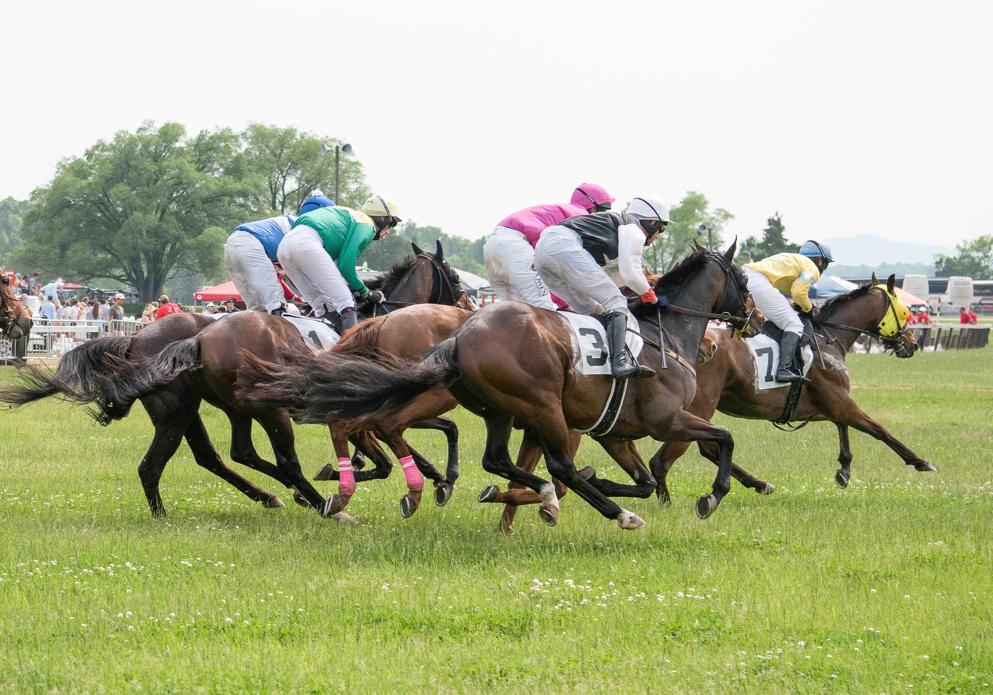 A Guide to the Foxfield Races in Charlottesville - Wine and Country Life