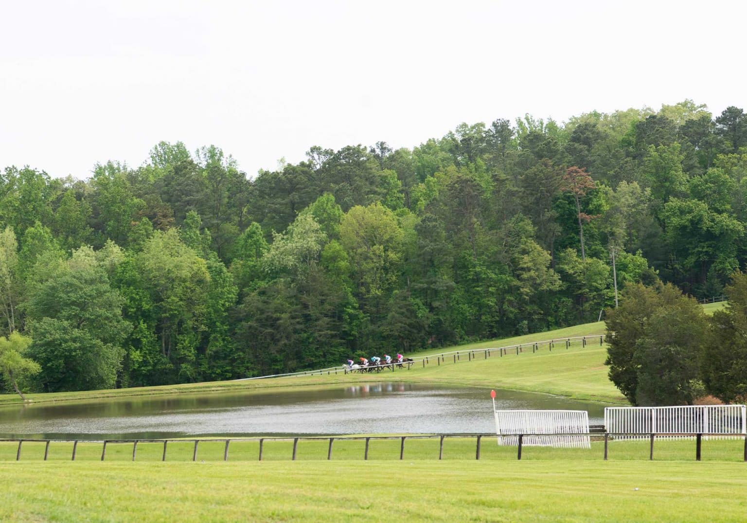 A Guide to the Foxfield Races in Charlottesville - Wine and Country Life
