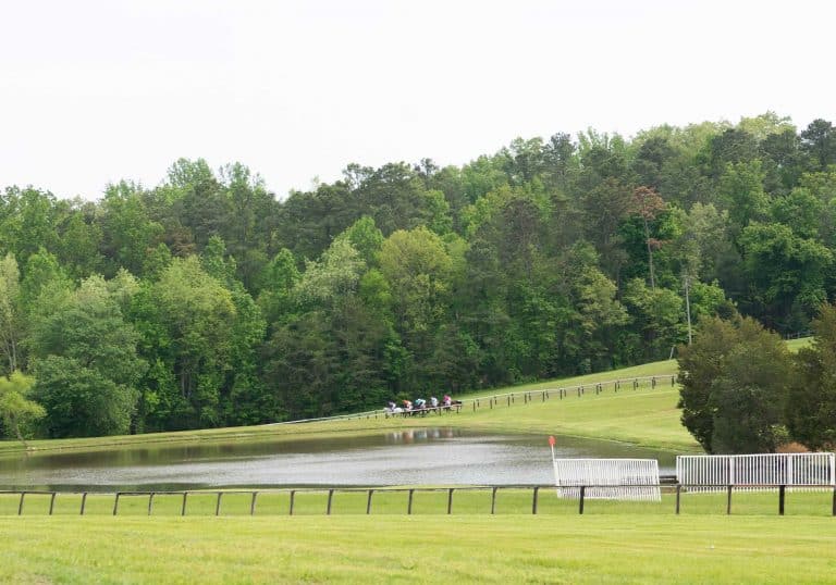 A Guide to the Foxfield Races in Charlottesville - Wine and Country Life