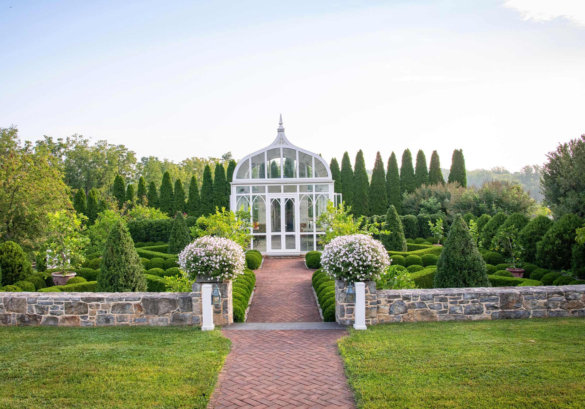 Elizabeth Locke on Growing Dahlias - Wine and Country Life