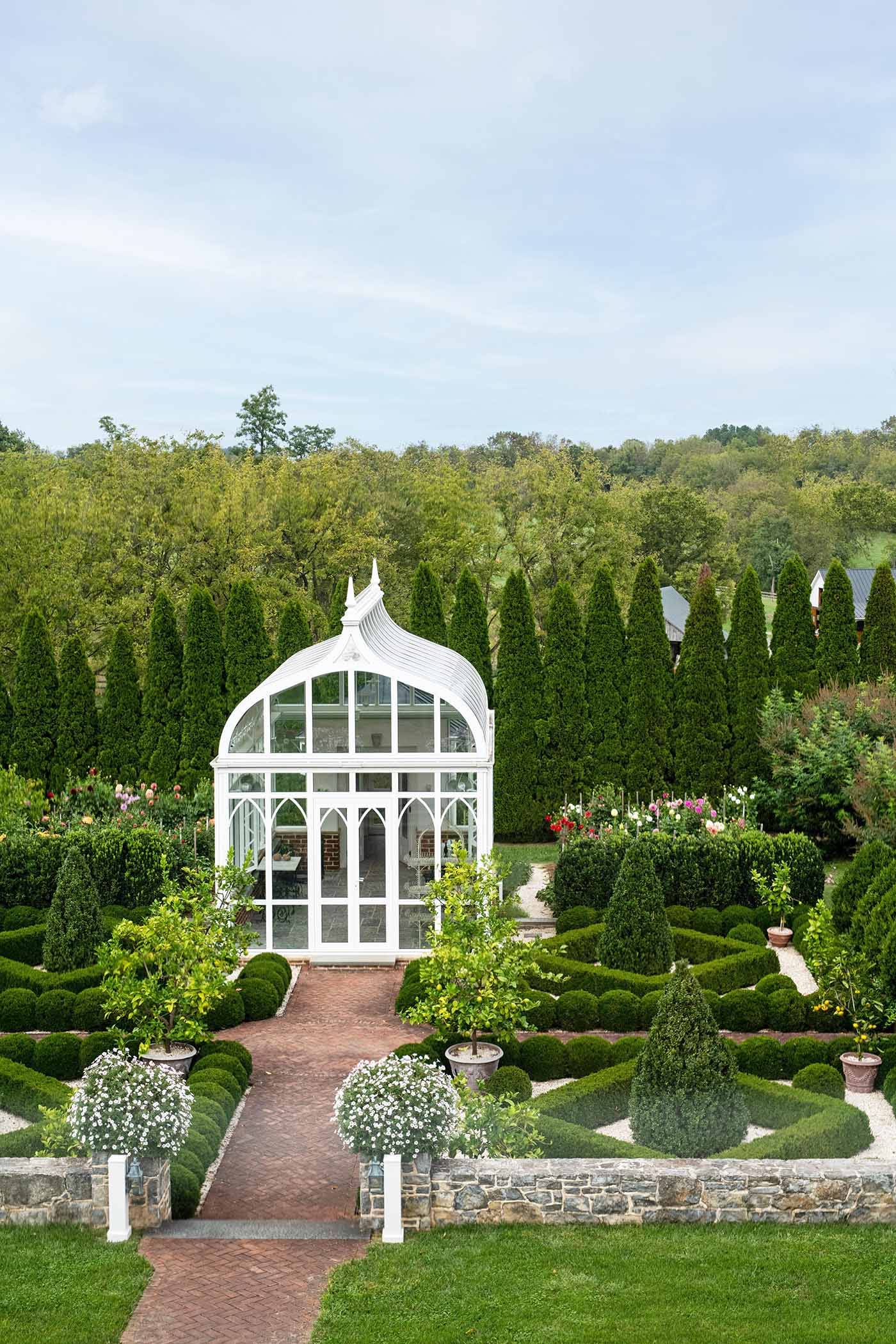 Elizabeth Locke on Growing Dahlias - Wine and Country Life