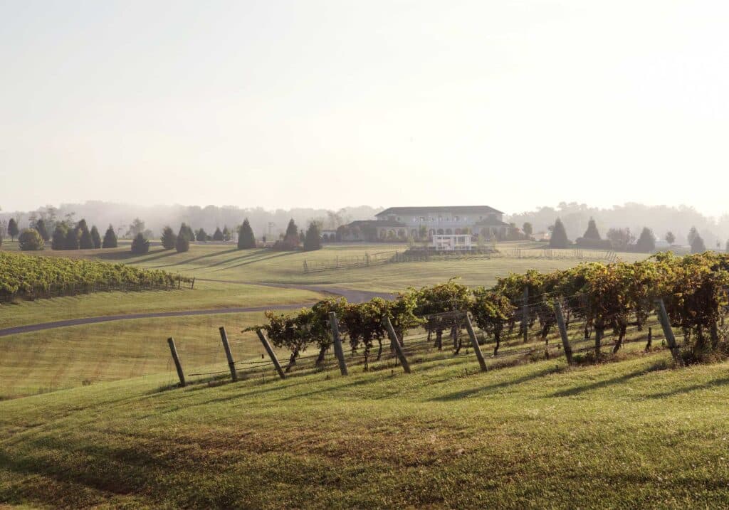 Discover Crosskeys Vineyards - Wine and Country Life