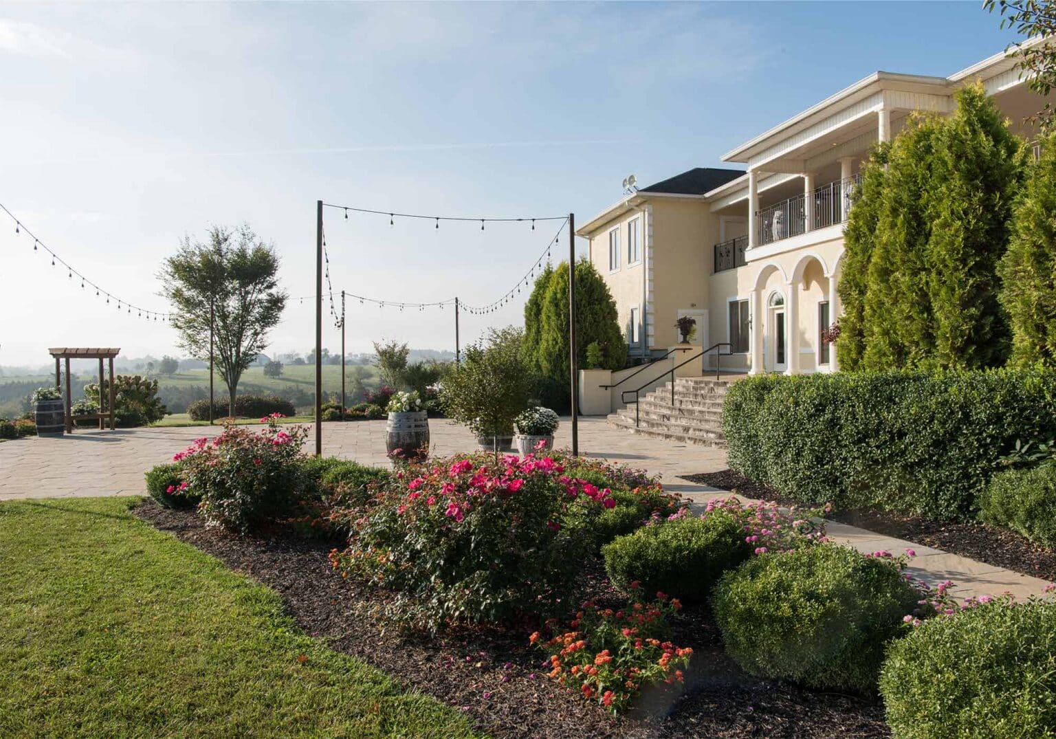 Discover Crosskeys Vineyards - Wine and Country Life
