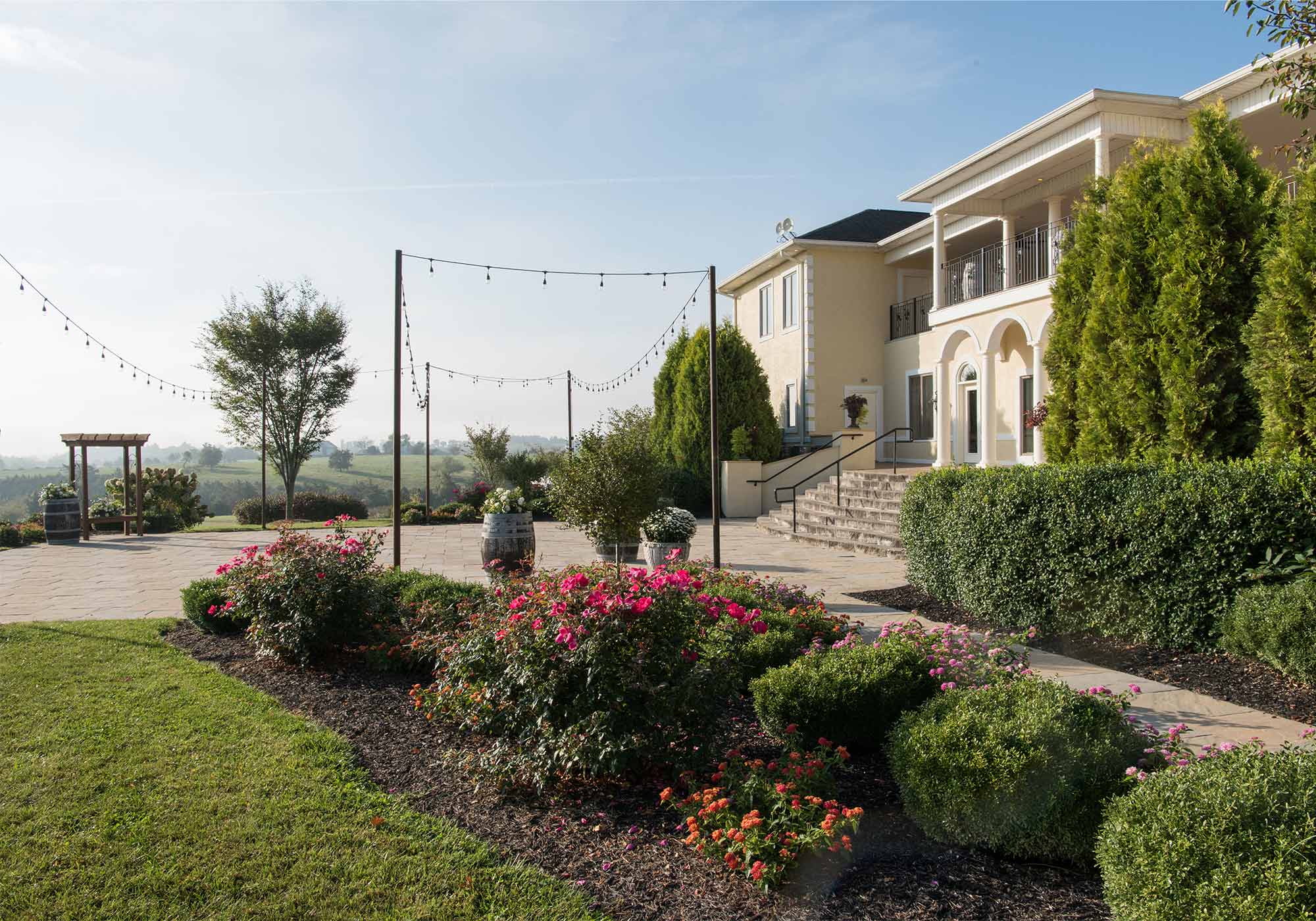 Discover Crosskeys Vineyards - Wine and Country Life