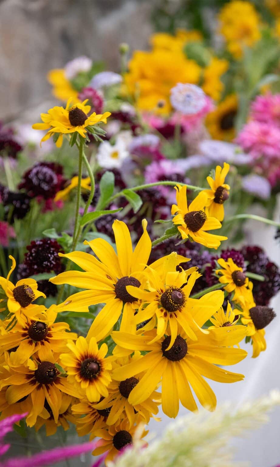 A Floral Workshop in Pippin Hill Farm & Vineyards' Beautiful New ...