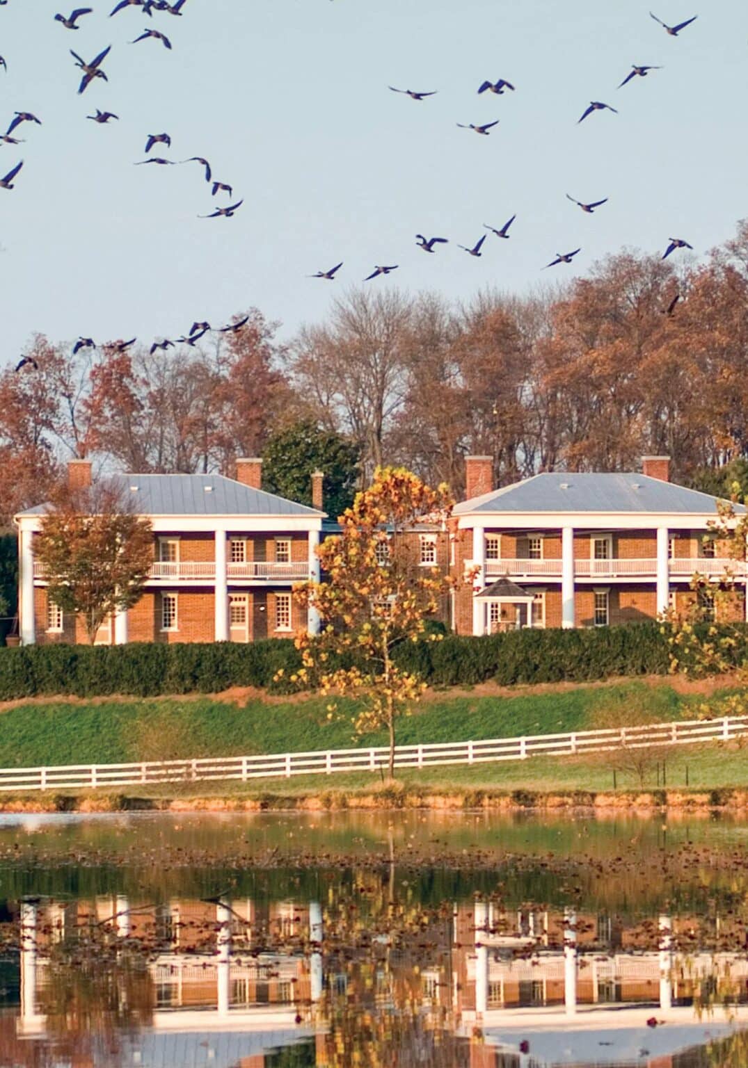 Romantic Virginia Wineries with Lodging - Wine and Country Life