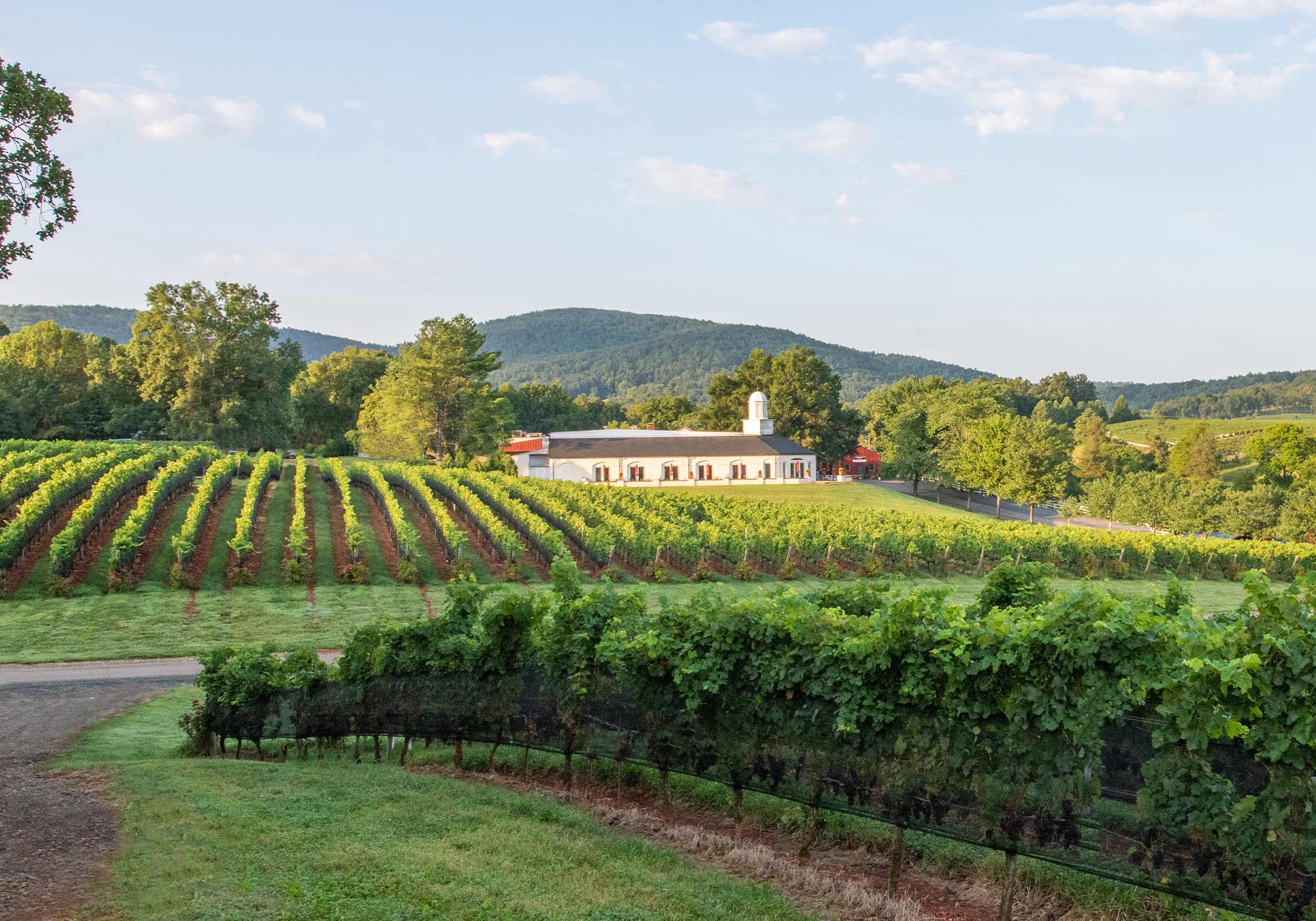 Virginia Wineries with Fine Dining - Wine and Country Life