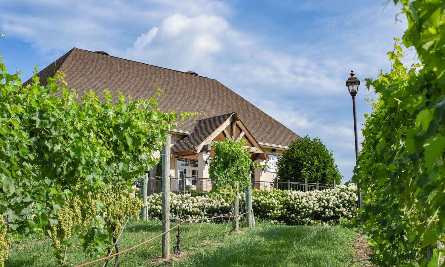 Meet Winemaker Lee Hartman - Wine and Country Life