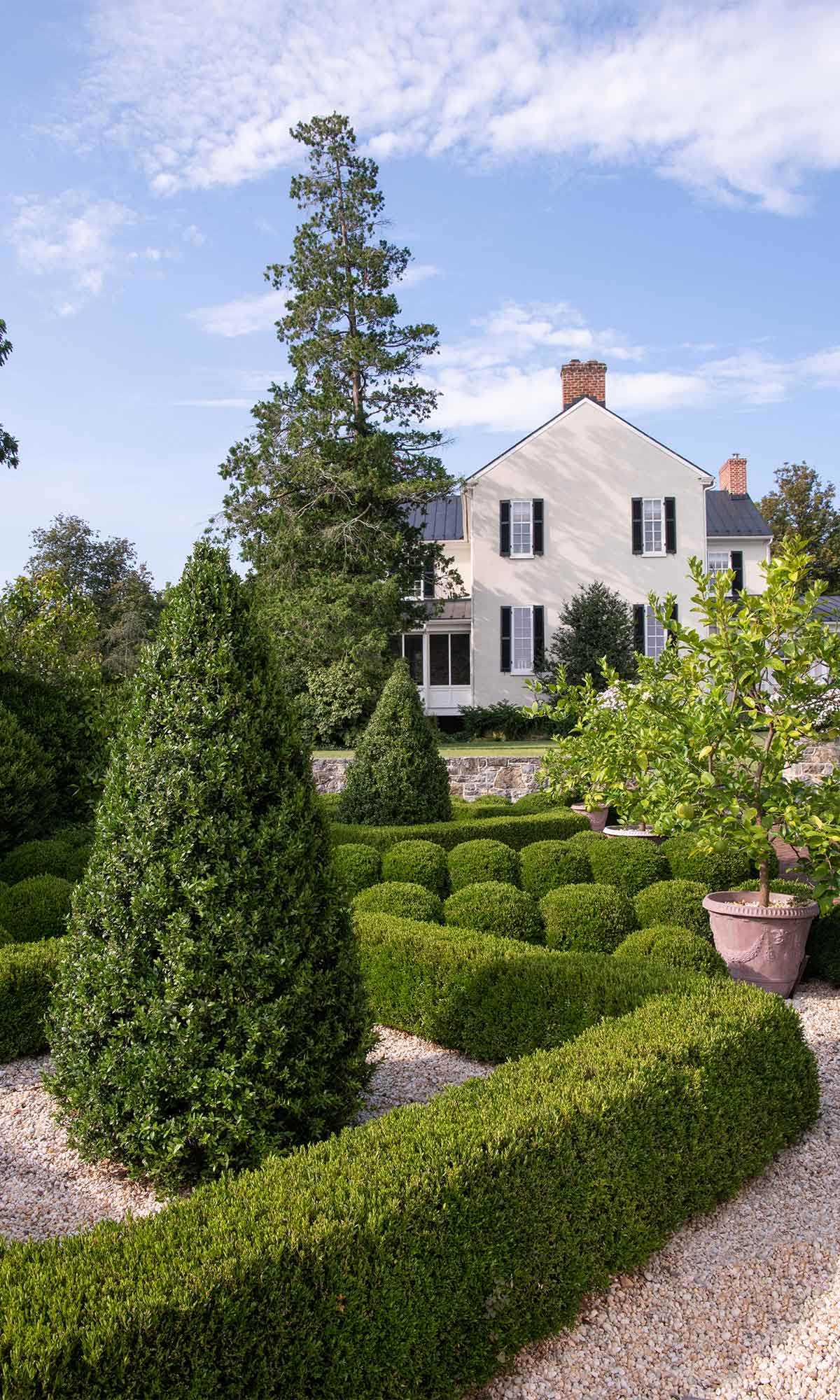 Elizabeth Locke's Elegant Virginia Farmhouse - Wine and Country Life