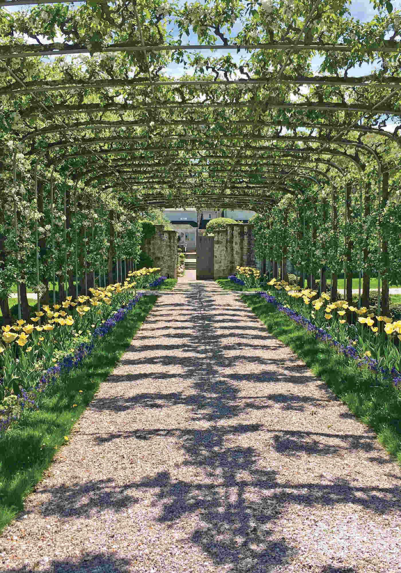 Virginia's Historic Garden Week Celebrates 90 Year Anniversary - Wine ...