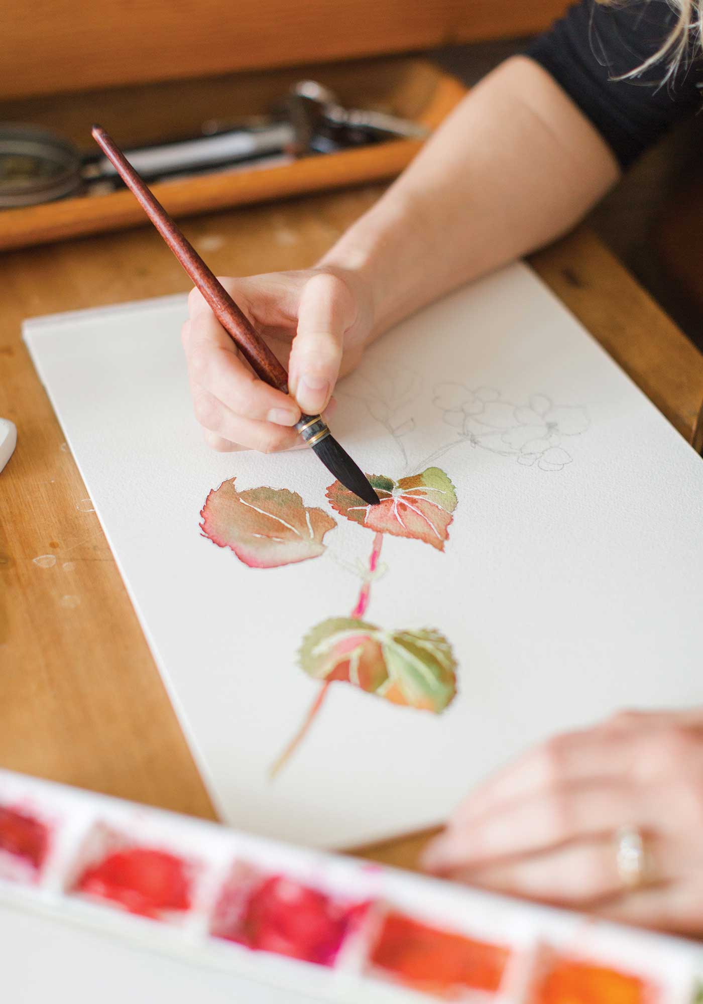 Nature Inspired Art - Wine and Country Life