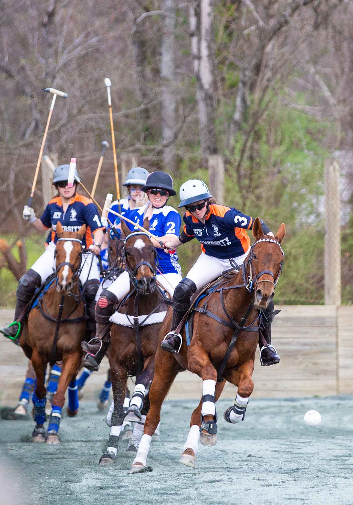 Meet the University of Virginia Polo Teams - Wine and Country Life