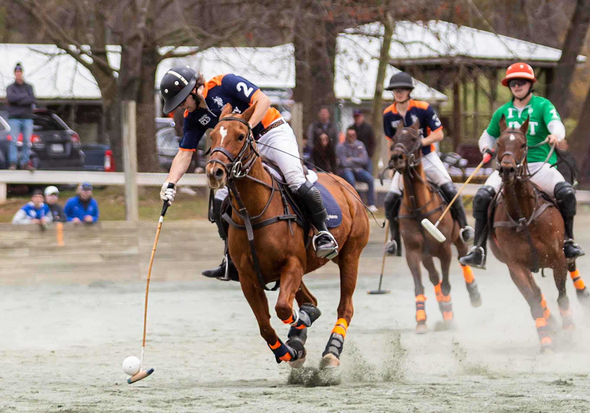 Meet the University of Virginia Polo Teams - Wine and Country Life