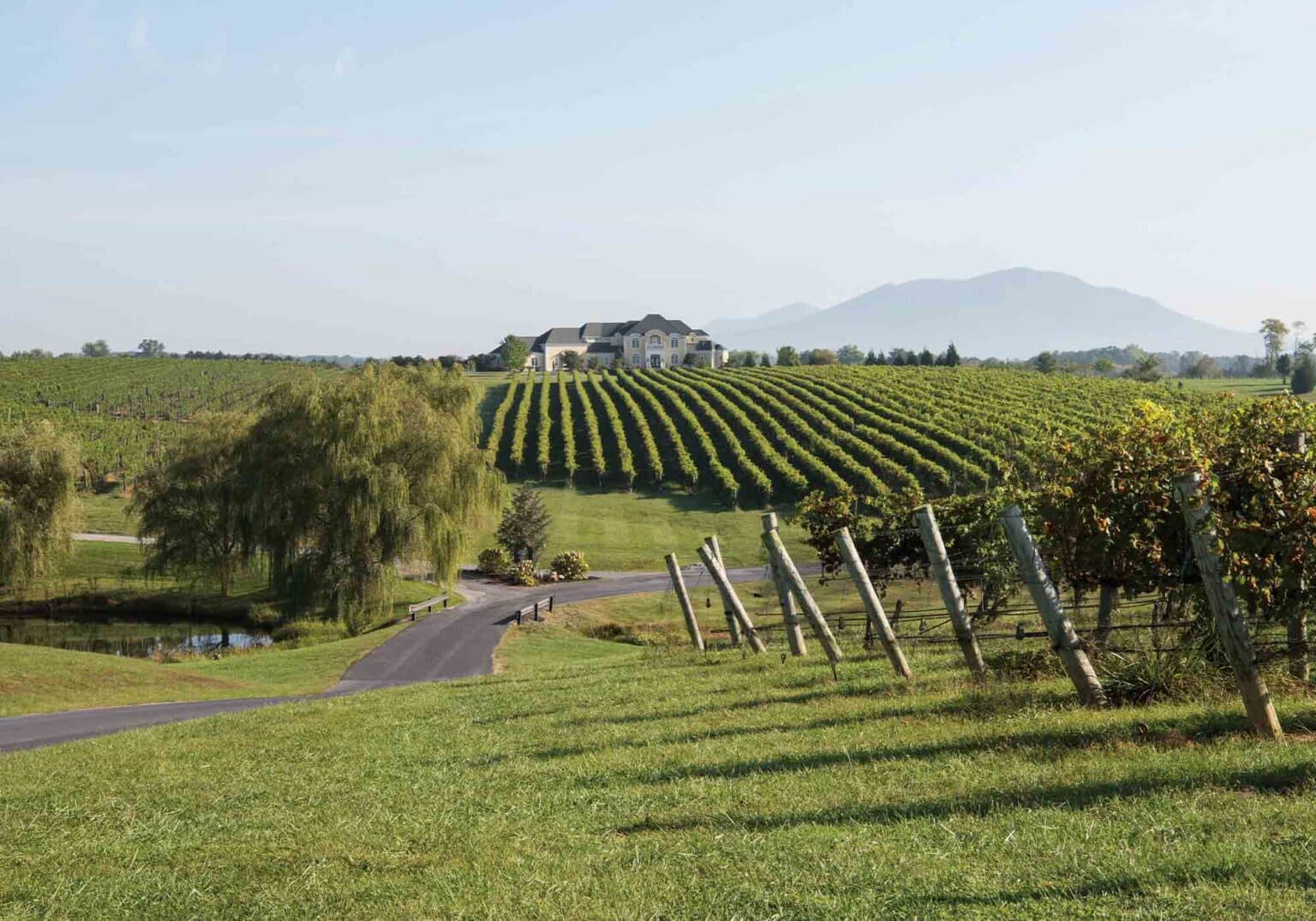 Southwest Mountains Vineyards - Wine and Country Life