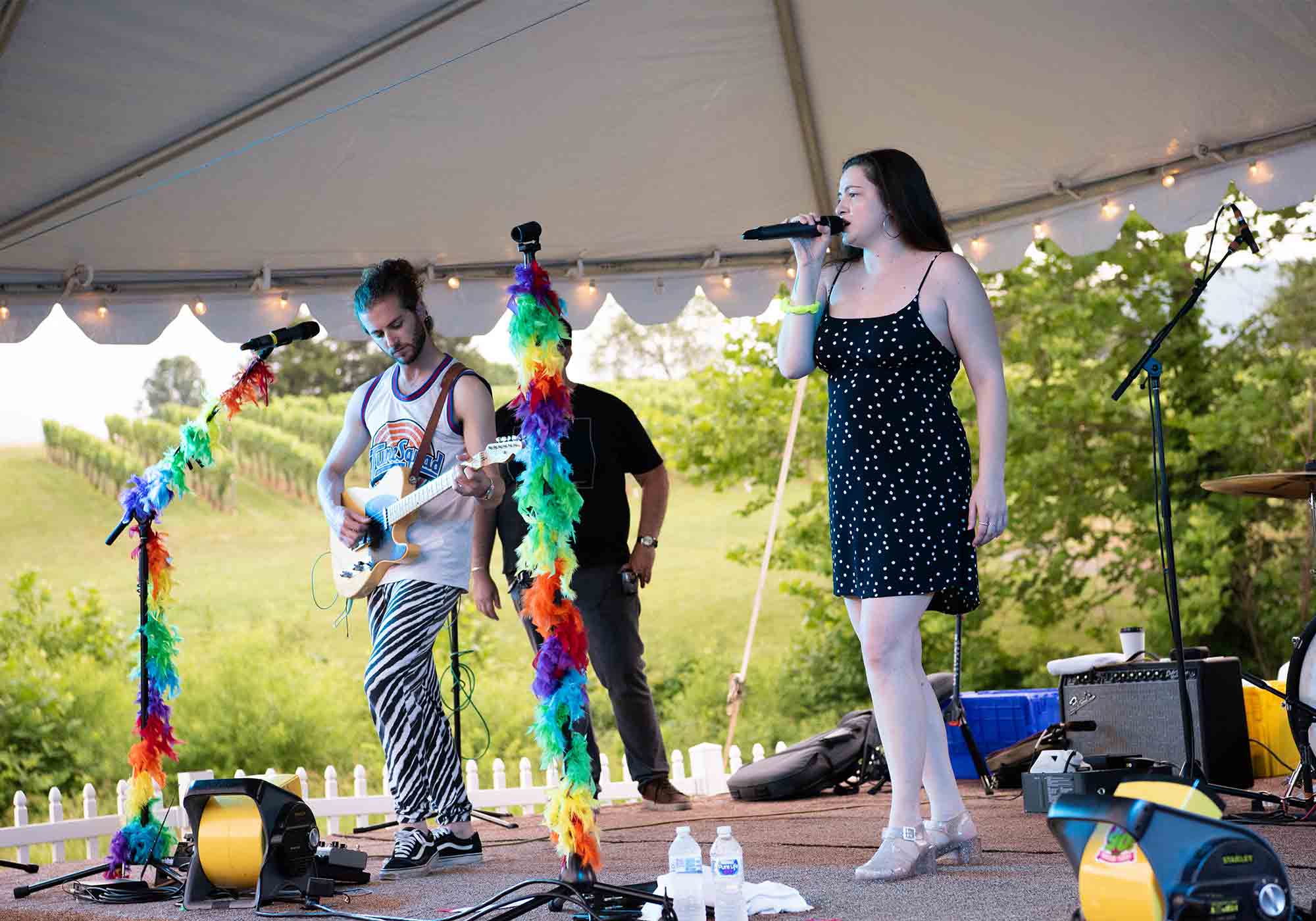 Starry Nights Winery Concert at Veritas - Wine and Country Life