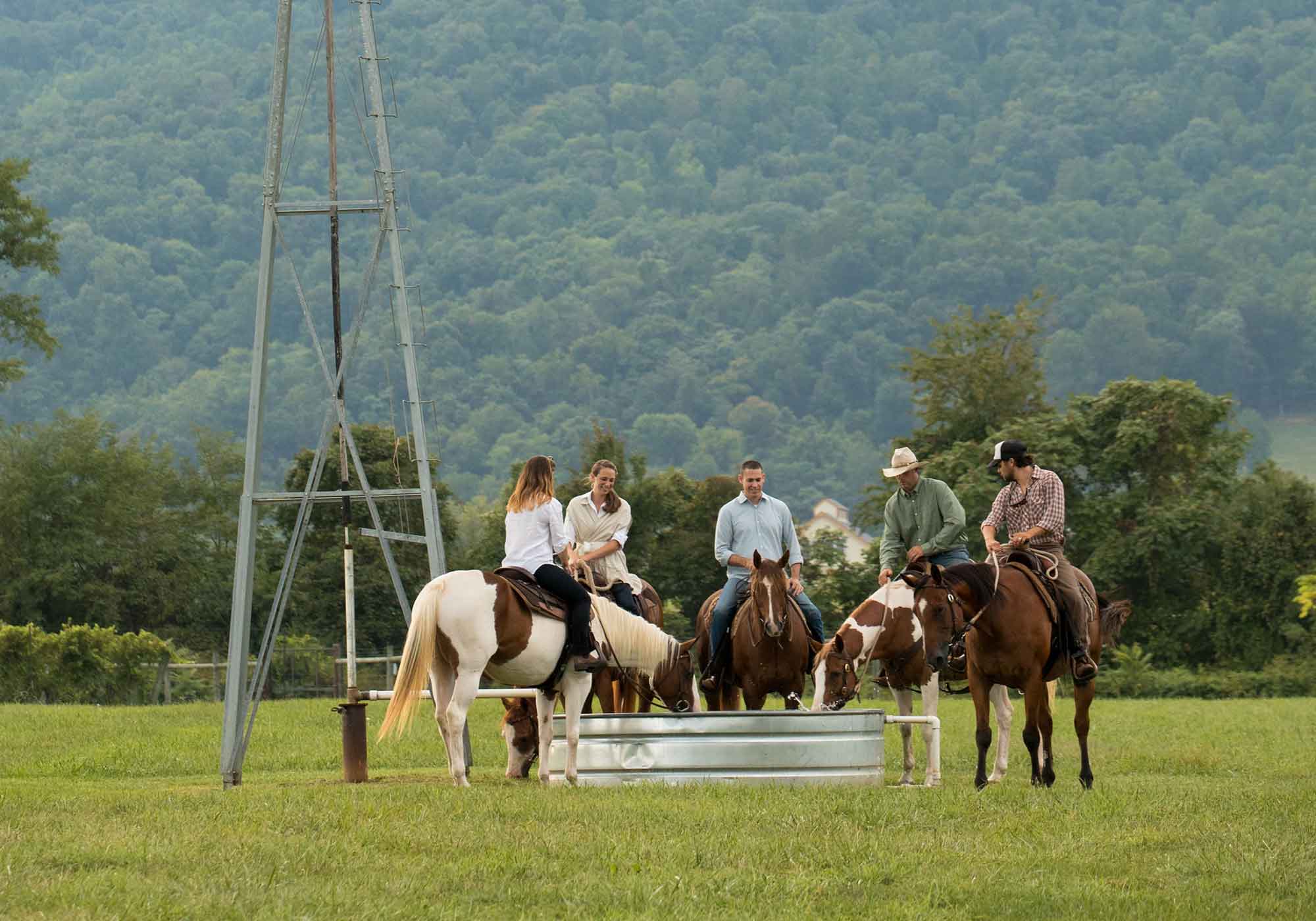 Vineyard Horse Tours - Wine and Country Life