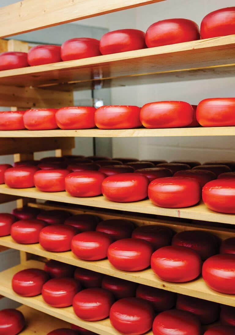 The Cheese Nuns - Wine and Country Life