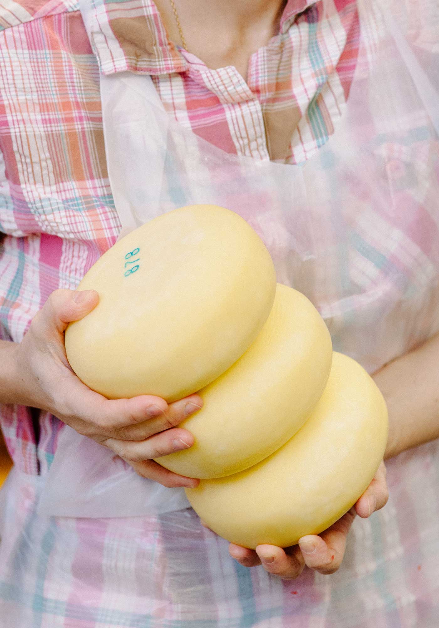 The Cheese Nuns - Wine and Country Life