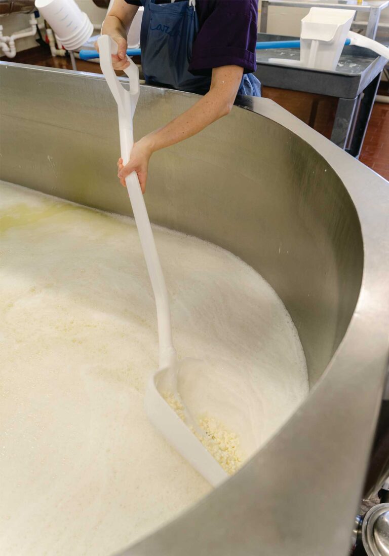 The Cheese Nuns - Wine and Country Life