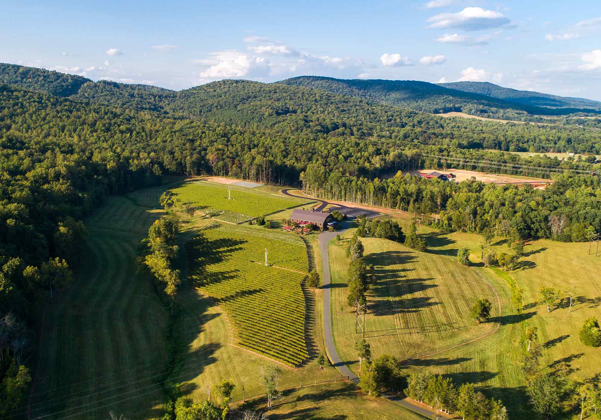 Southwest Mountains Vineyards - Wine and Country Life