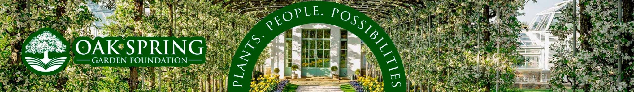 The Allée, Greenhouse & Topiaries at Oak Spring Farm - Wine and Country ...