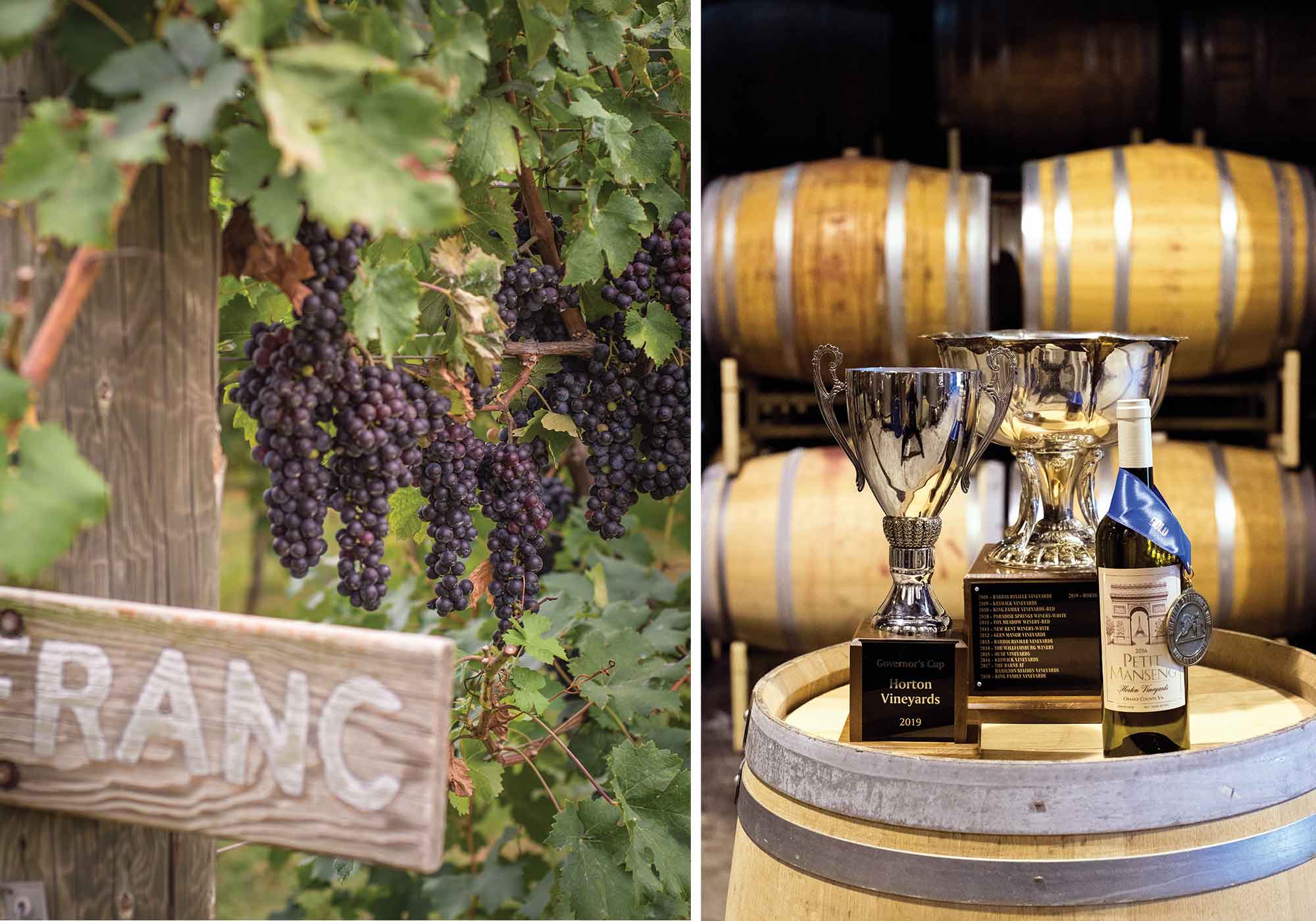 Meet Viticulturist Sharon Horton - Wine and Country Life