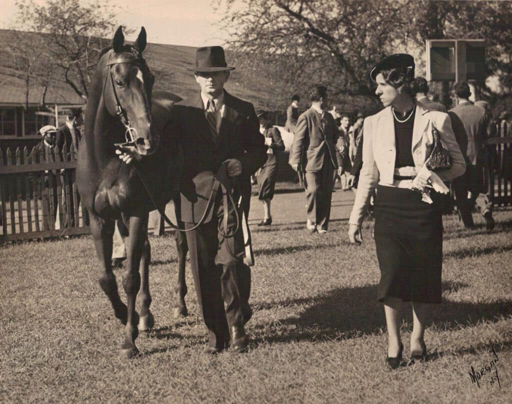 The Montpelier Hunt Races - Wine and Country Life
